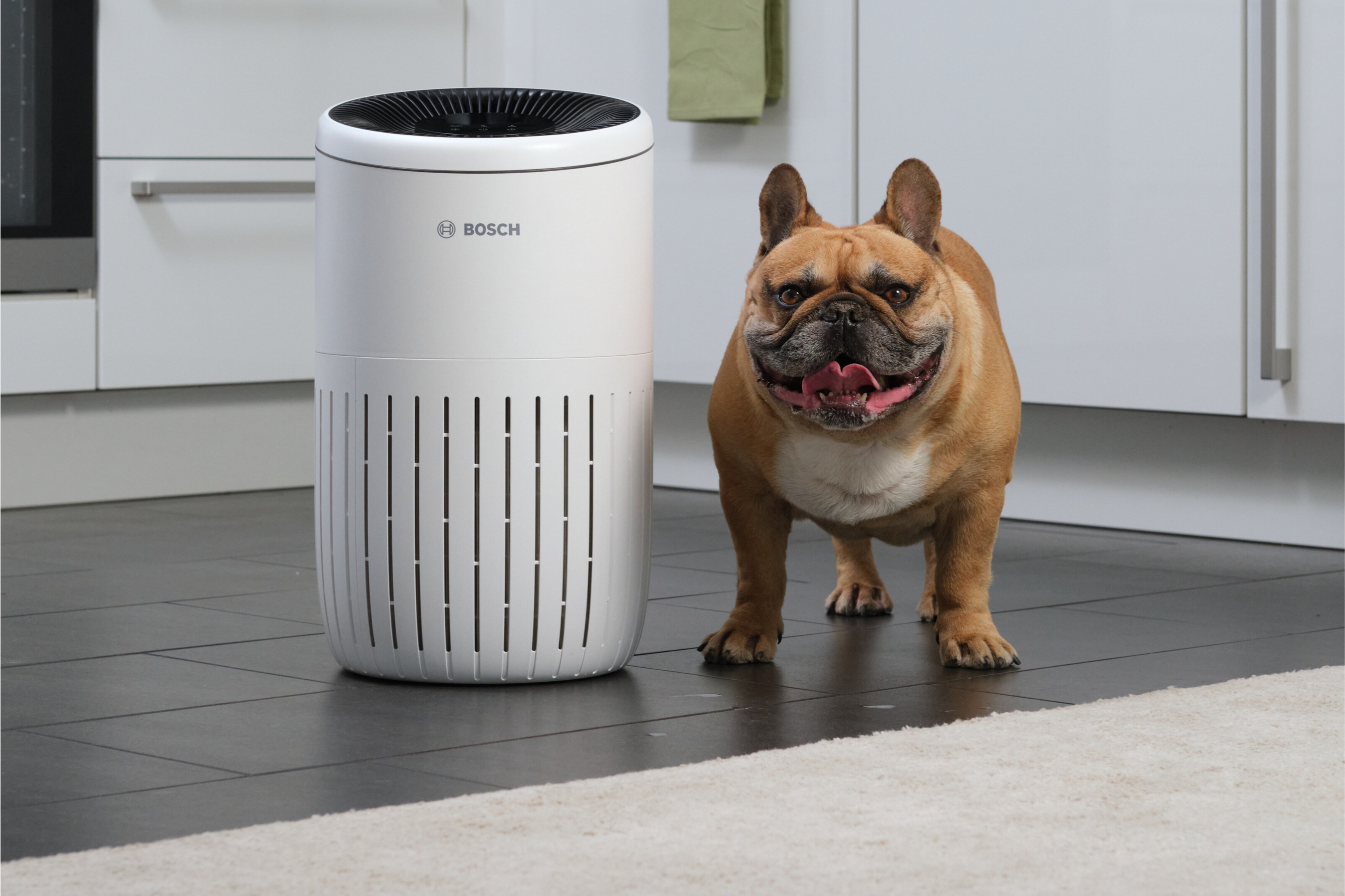 Ajudantes inteligentes para o dia a dia: produtos e serviços Bosch ...